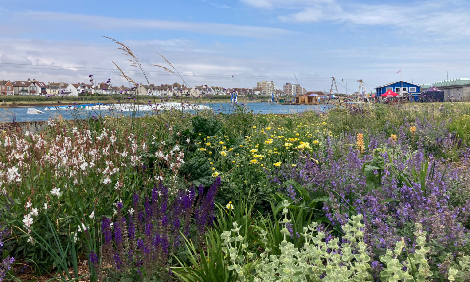 About us – Friends of Hove Lagoon CIC